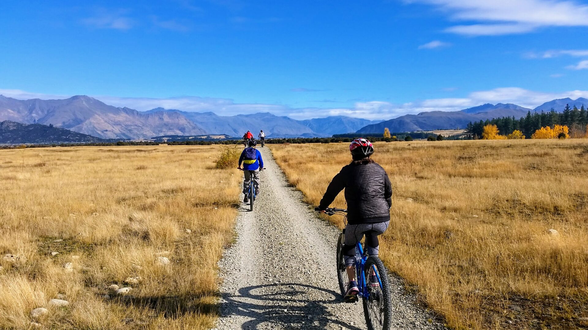 Bike Hire in Wanaka | Discover Wanaka by Bike